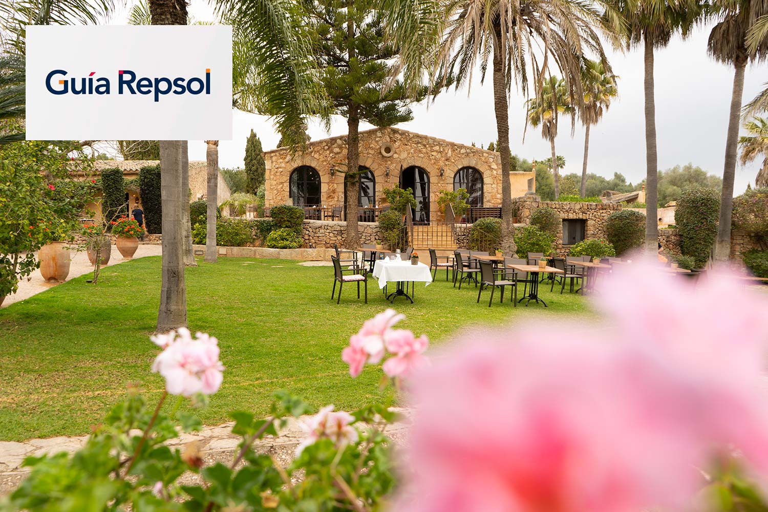 WHERE THE EUROPEAN JET SET IS A MUST-HAVE FUN - La Reserva Rotana